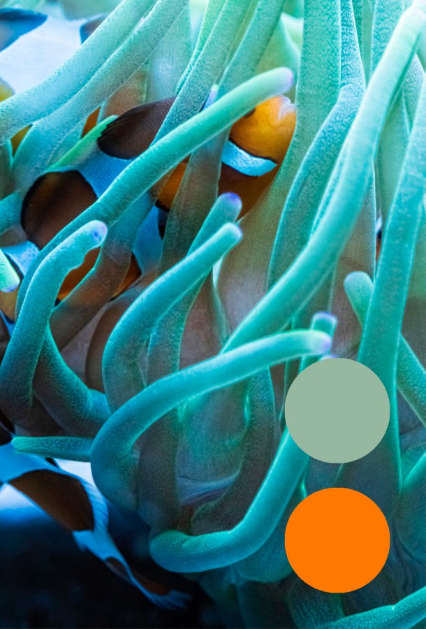 #ViernesDeInspiración: Colores del mar